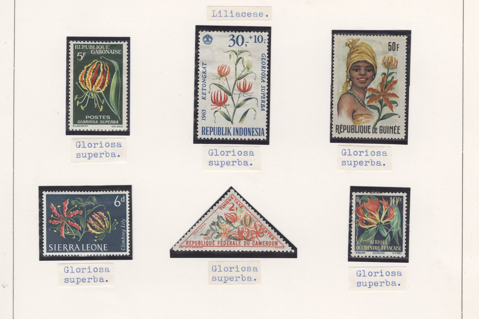 Collections - Postal museum